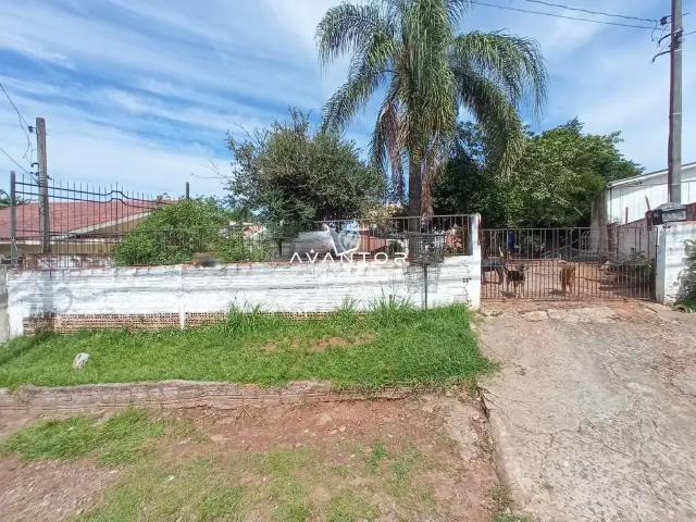 Terreno / Lote para Venda em Santa Maria/RS Noal