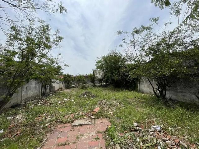 Terreno / Lote para Venda em Santa Maria/RS Noal