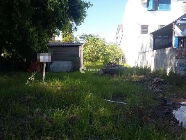 Terreno / Lote para Venda em Santa Maria/RS Nonoai