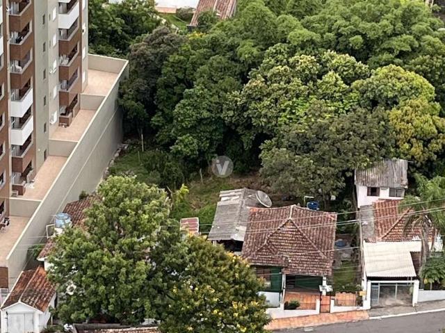 Terreno / Lote para Venda em Santa Maria/RS Nonoai