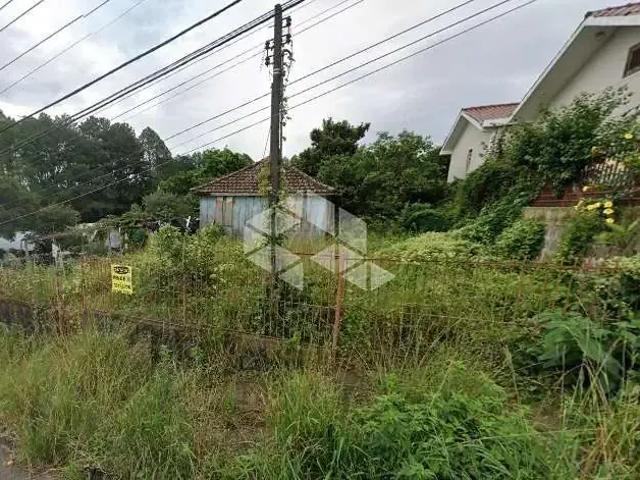 Terreno / Lote para Venda em Santa Maria/RS Nossa Senhora do Perpétuo Socorro