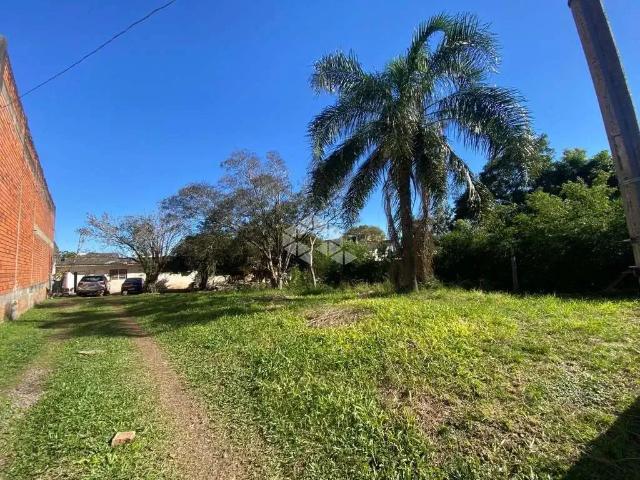 Terreno / Lote para Venda em Santa Maria/RS Nossa Senhora de Fátima