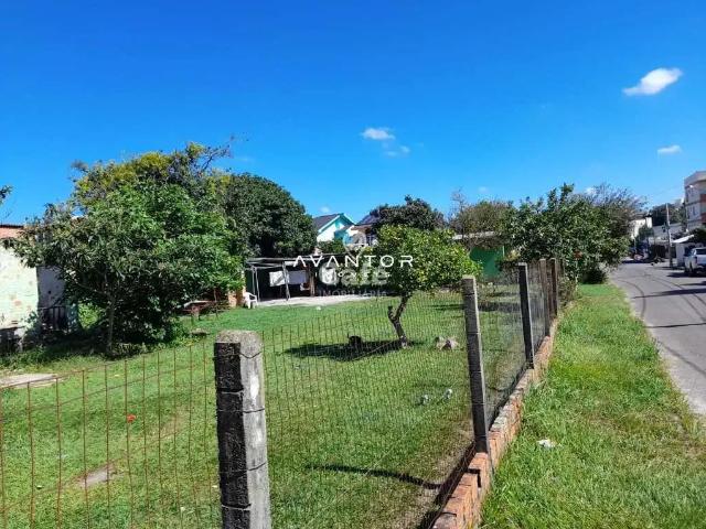 Terreno / Lote para Venda em Santa Maria/RS Nossa Senhora Medianeira
