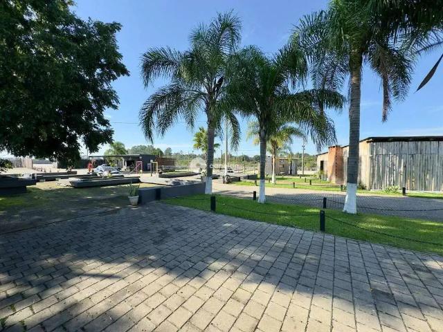 Terreno / Lote para Venda em Santa Maria/RS Arroio Grande