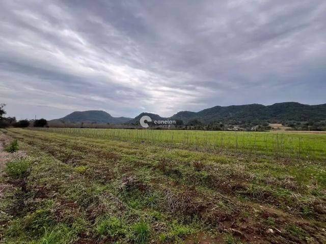 Terreno / Lote para Venda em Santa Maria/RS Arroio Grande