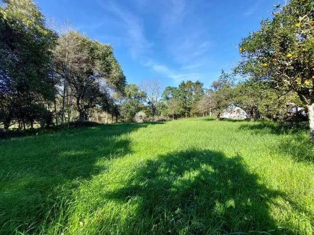 Terreno / Lote para Venda em Santa Maria/RS Boca do Monte