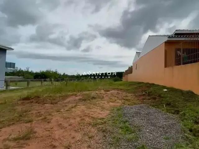 Terreno / Lote para Venda em Santa Maria/RS Boca do Monte