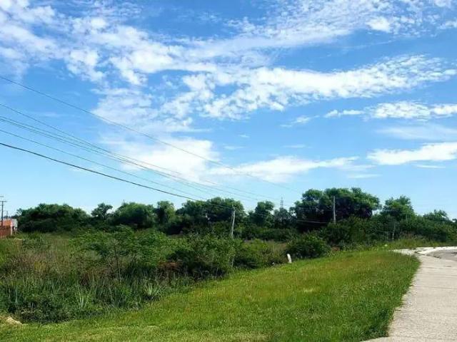 Terreno / Lote para Venda em Santa Maria/RS Boi Morto