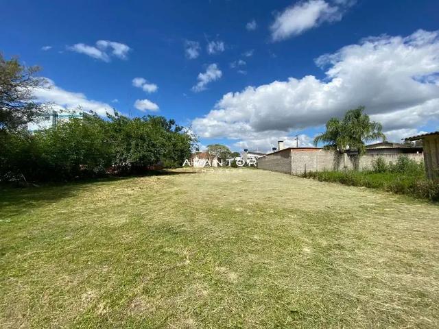 Terreno / Lote para Venda em Santa Maria/RS Boi Morto