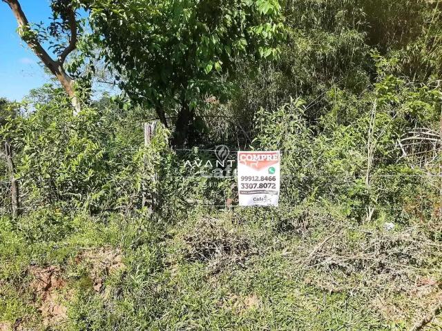Terreno / Lote para Venda em Santa Maria/RS Boi Morto