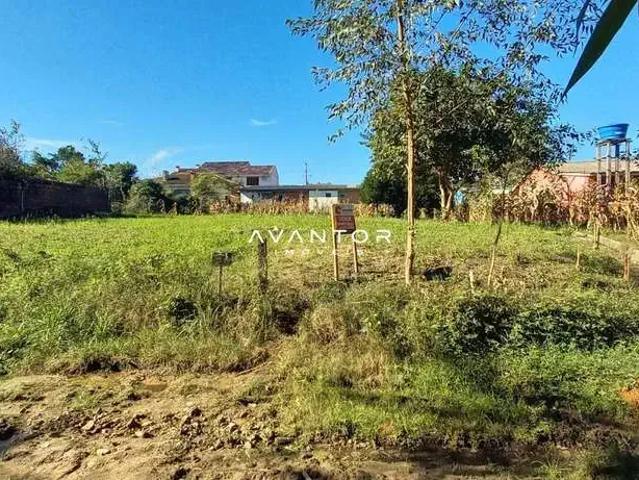 Terreno / Lote para Venda em Santa Maria/RS Boi Morto