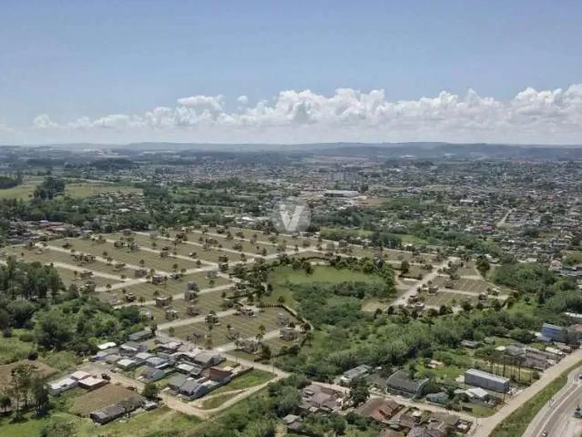 Terreno / Lote para Venda em Santa Maria/RS Boi Morto