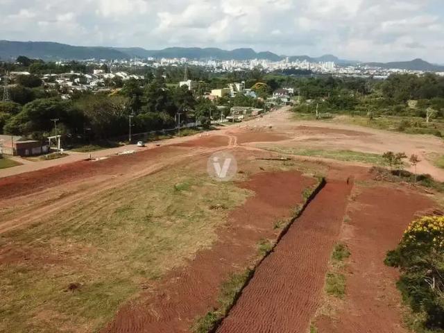 Terreno / Lote para Venda em Santa Maria/RS Boi Morto