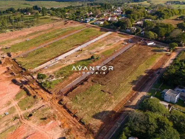 Terreno / Lote para Venda em Santa Maria/RS Boi Morto