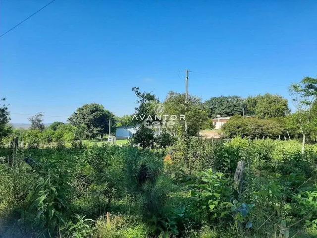 Terreno / Lote para Venda em Santa Maria/RS Boi Morto
