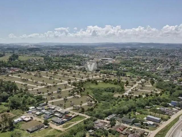 Terreno / Lote para Venda em Santa Maria/RS Boi Morto