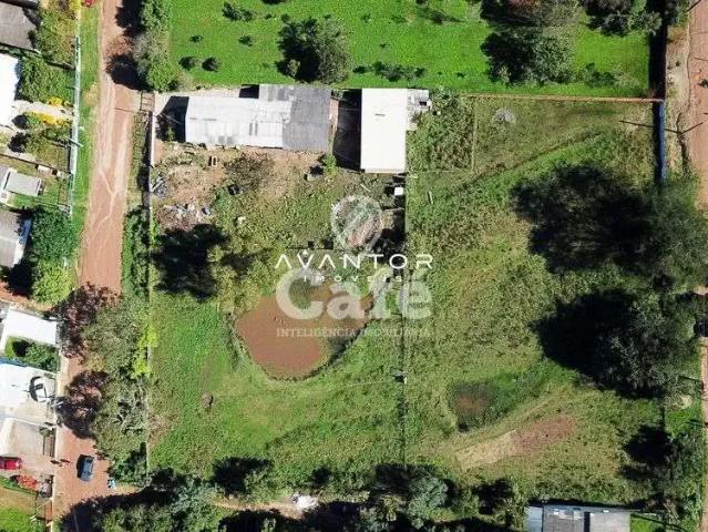 Terreno / Lote para Venda em Santa Maria/RS Boi Morto