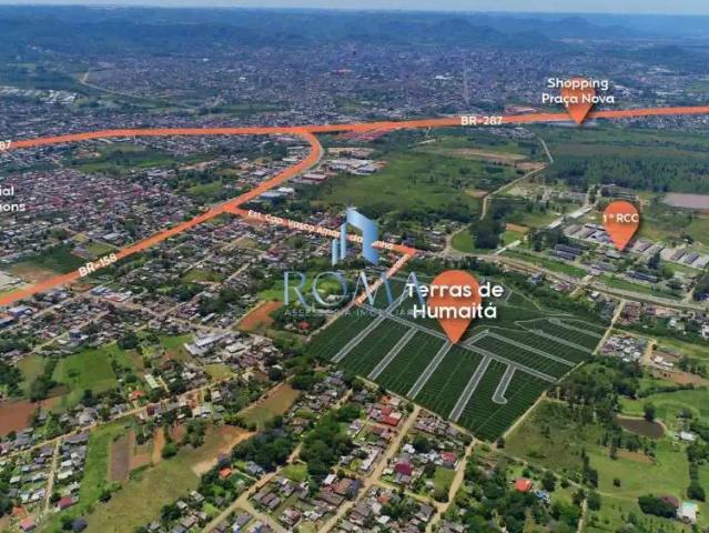 Terreno / Lote para Venda em Santa Maria/RS Boi Morto