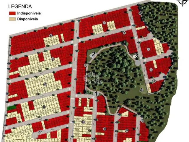 Terreno / Lote para Venda em Santa Maria/RS Boi Morto