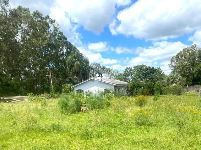 Terreno / Lote para Venda em Santa Maria/RS Boi Morto