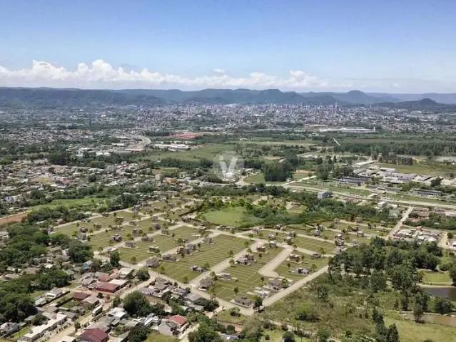 Terreno / Lote para Venda em Santa Maria/RS Boi Morto