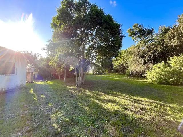 Terreno / Lote para Venda em Santa Maria/RS Boi Morto