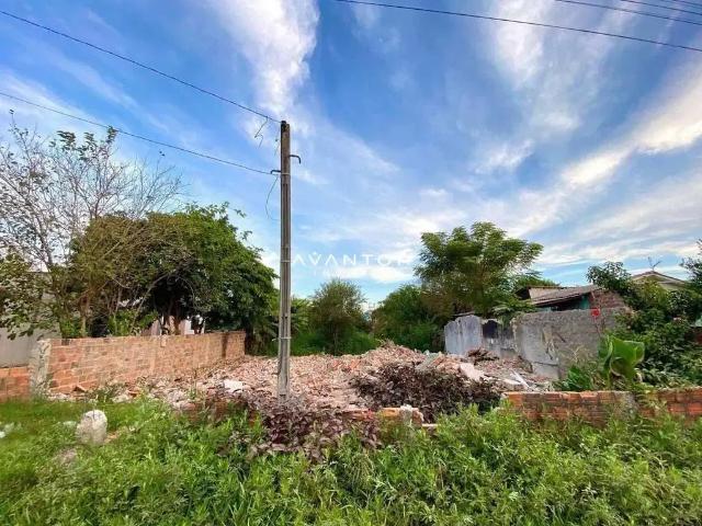 Terreno / Lote para Venda em Santa Maria/RS Boi Morto