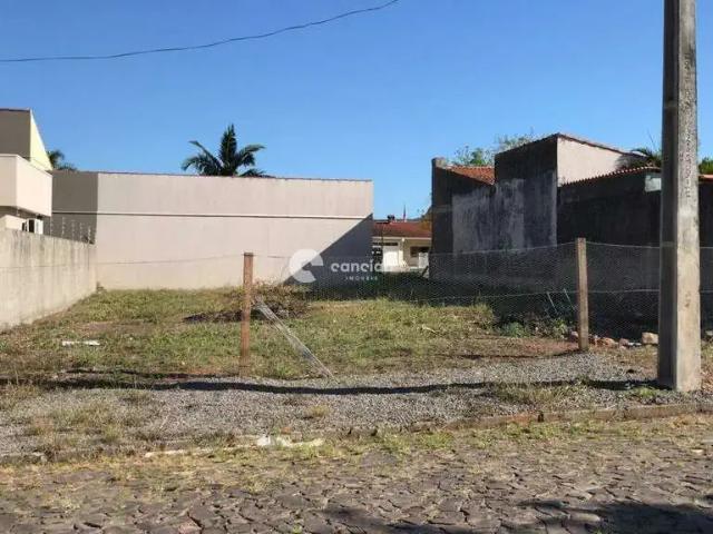 Terreno / Lote para Venda em Santa Maria/RS Camobi