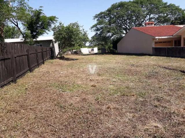 Terreno / Lote para Venda em Santa Maria/RS Camobi