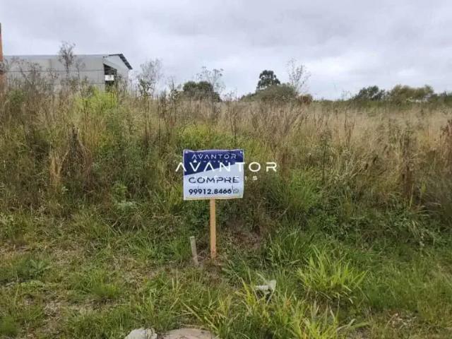 Terreno / Lote para Venda em Santa Maria/RS Camobi
