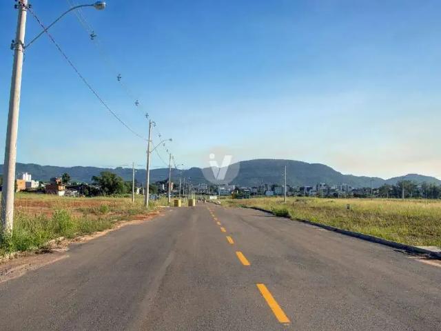 Terreno / Lote para Venda em Santa Maria/RS Camobi