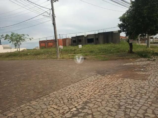 Terreno / Lote para Venda em Santa Maria/RS Camobi