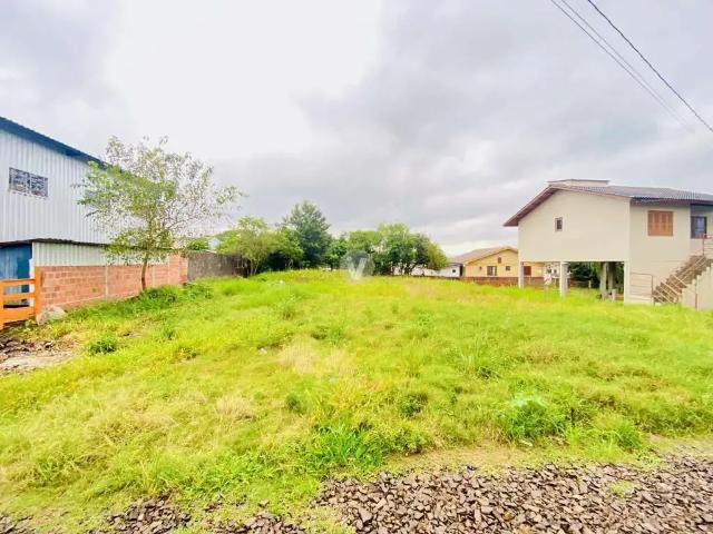 Terreno / Lote para Venda em Santa Maria/RS Camobi