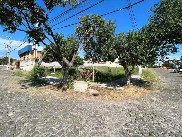 Terreno / Lote para Venda em Santa Maria/RS Camobi