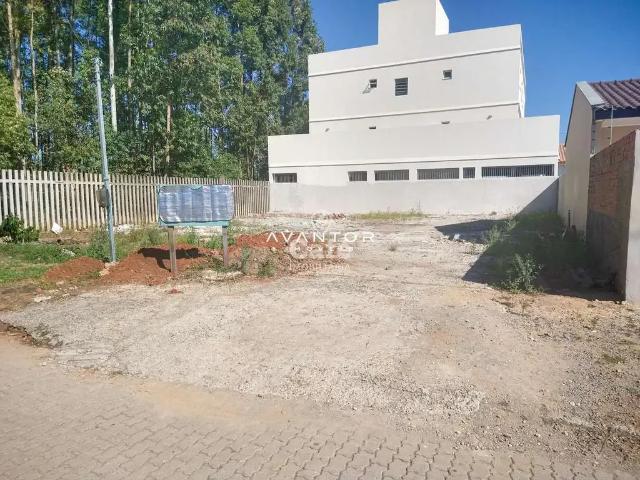 Terreno / Lote para Venda em Santa Maria/RS Camobi