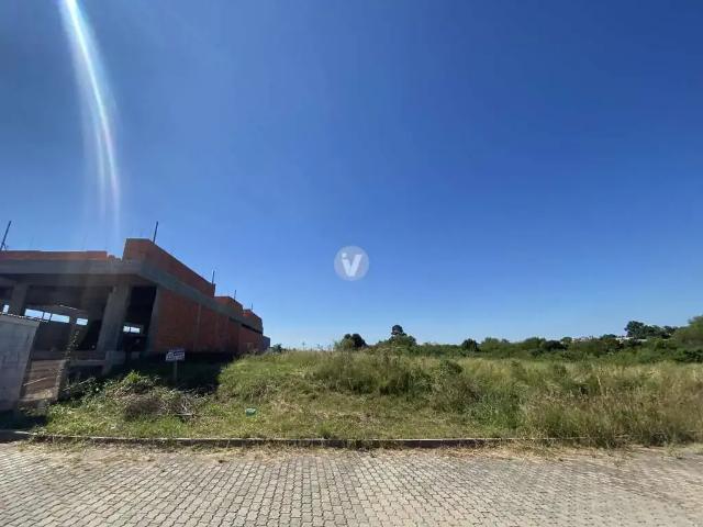Terreno / Lote para Venda em Santa Maria/RS Camobi