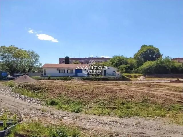 Terreno / Lote para Venda em Santa Maria/RS Camobi