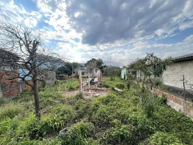 Terreno / Lote para Venda em Santa Maria/RS Camobi