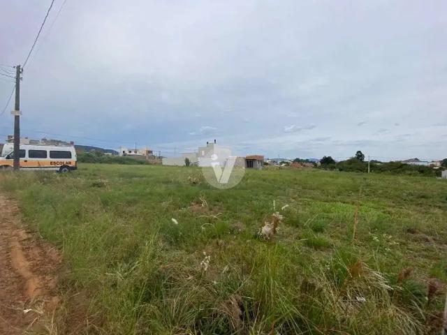 Terreno / Lote para Venda em Santa Maria/RS Camobi