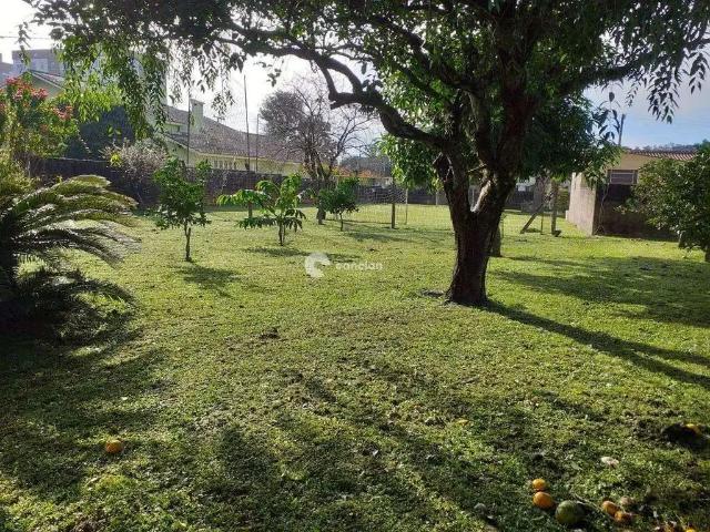 Terreno / Lote para Venda em Santa Maria/RS Camobi