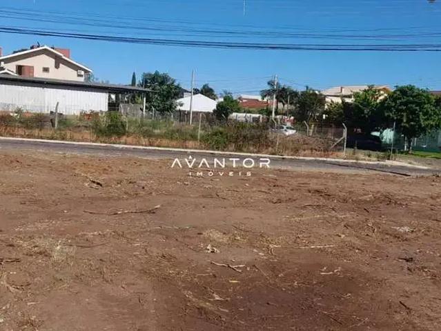Terreno / Lote para Venda em Santa Maria/RS Camobi