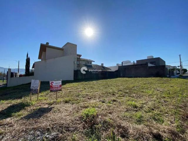 Terreno / Lote para Venda em Santa Maria/RS Camobi