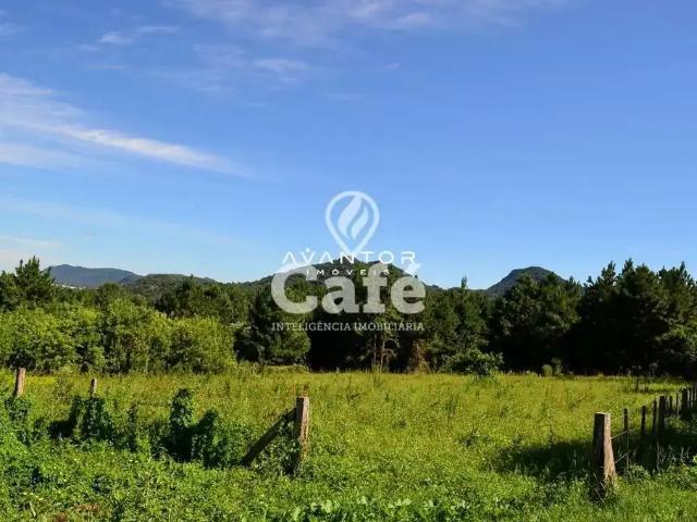 Terreno / Lote para Venda em Santa Maria/RS Camobi