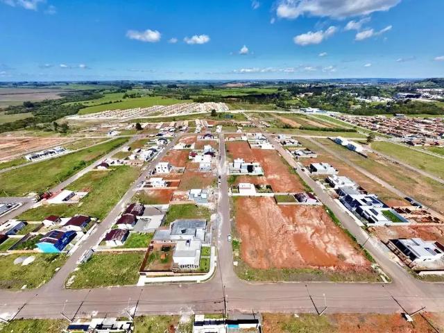 Terreno / Lote para Venda em Santa Maria/RS Camobi