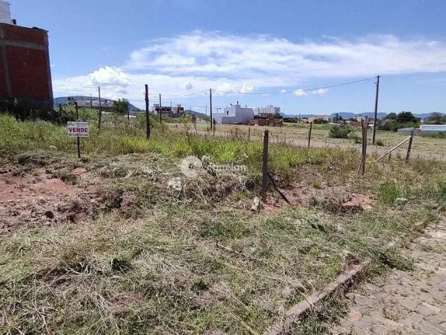 Terreno / Lote para Venda em Santa Maria/RS Camobi