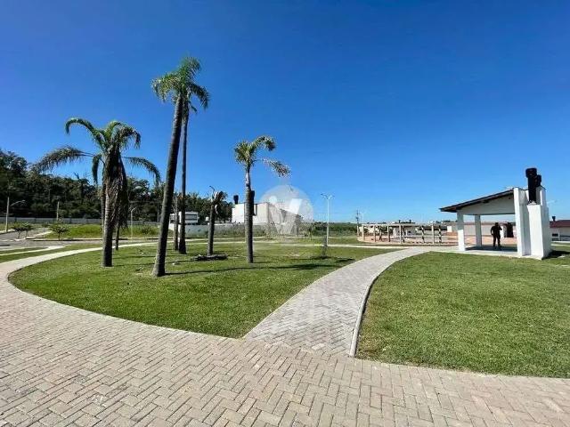 Terreno / Lote para Venda em Santa Maria/RS Camobi