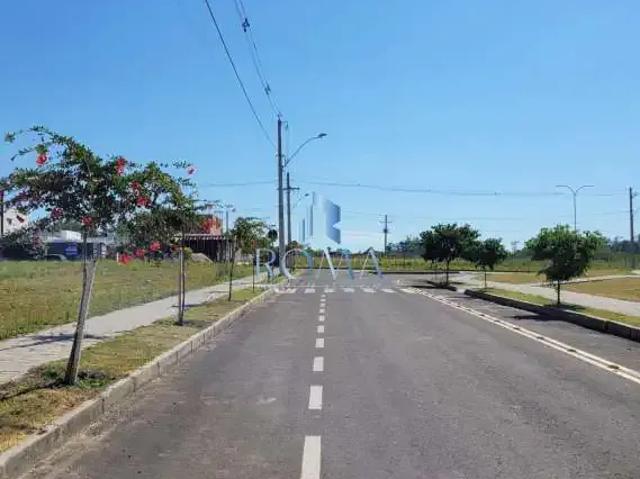Terreno / Lote para Venda em Santa Maria/RS Camobi