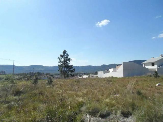 Terreno / Lote para Venda em Santa Maria/RS Camobi