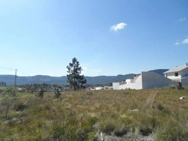 Terreno / Lote para Venda em Santa Maria/RS Camobi