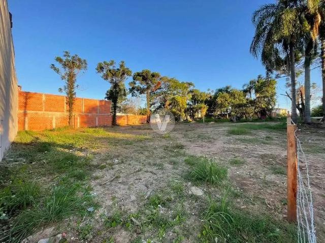 Terreno / Lote para Venda em Santa Maria/RS Camobi